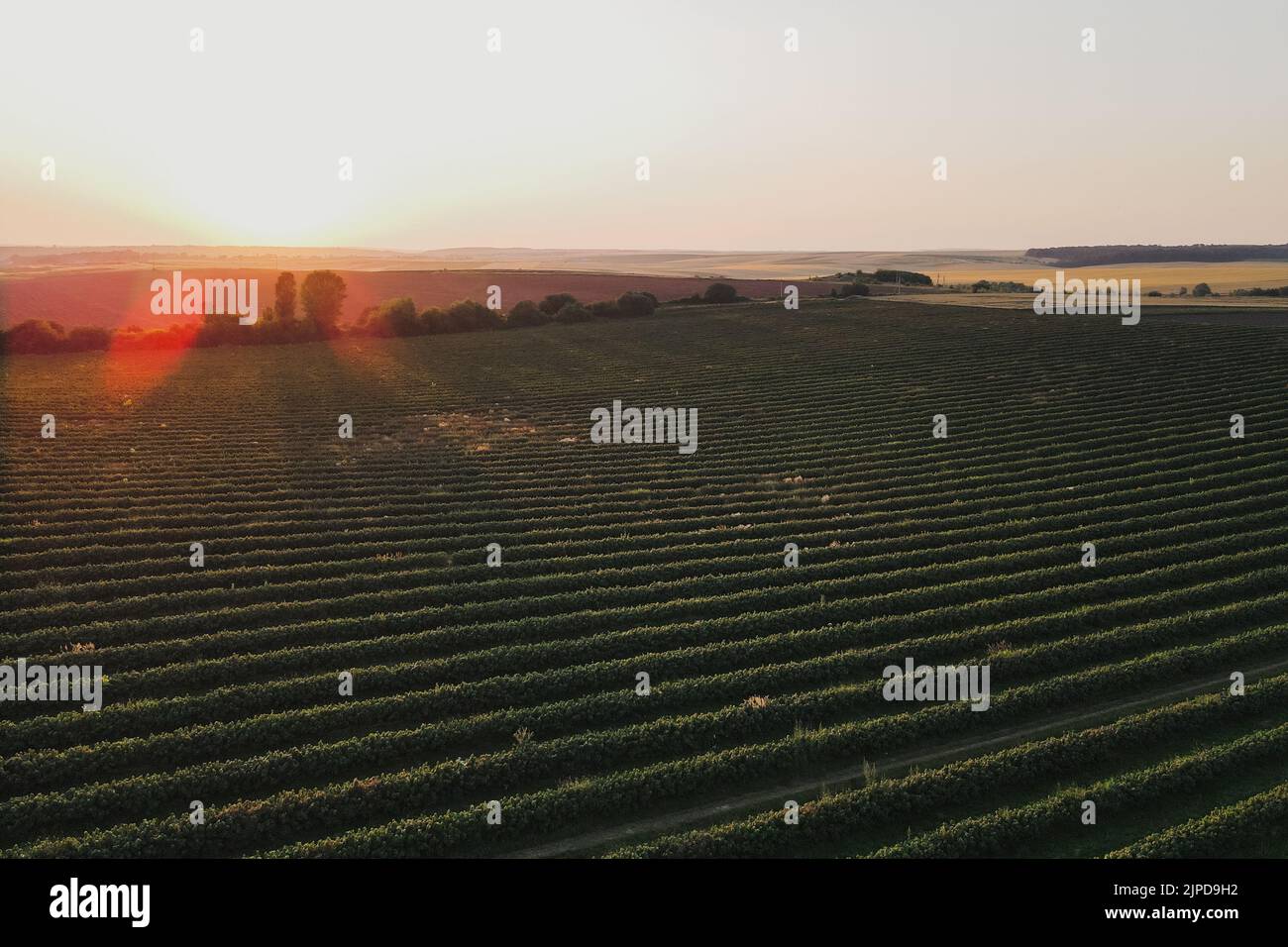 Agrofields hi-res stock photography and images - Alamy