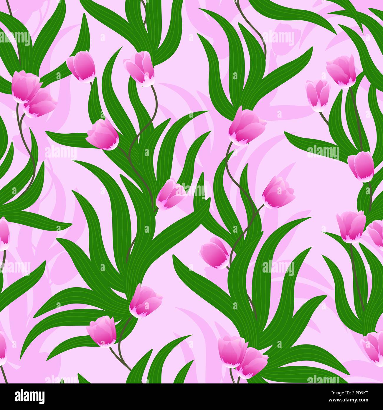 Tulips pink flowers on Stock Vector Images - Alamy