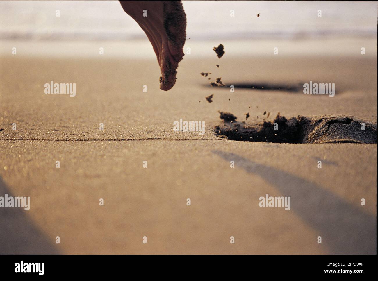 Plantar muscles of foot hi-res stock photography and images - Alamy