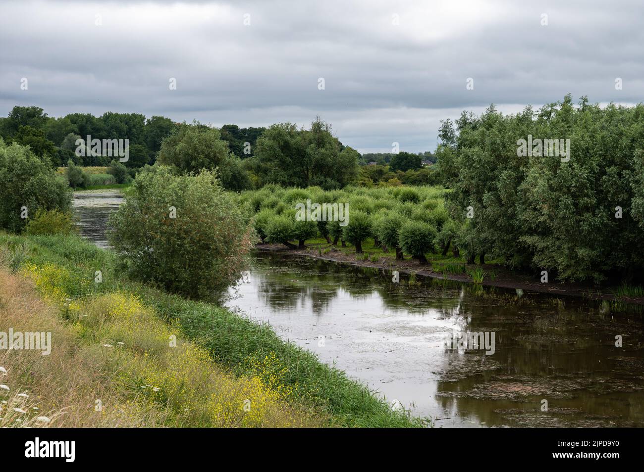 View over the natural floodplain with agriculture field and wetland ...