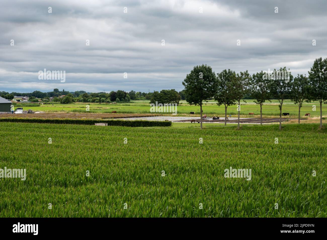 View over the natural floodplain with agriculture field and wetland ...