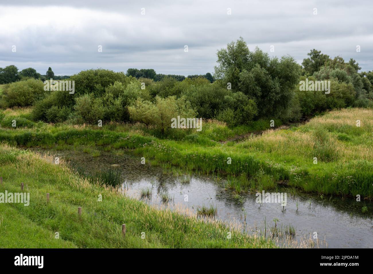 Landscape natural floodplain around ochten hi-res stock photography and ...