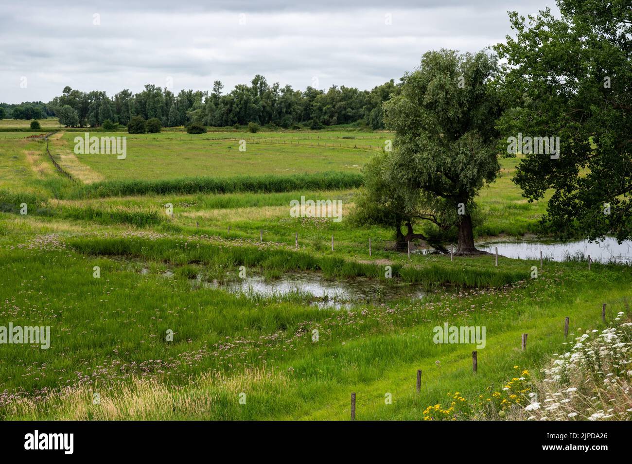 View over the natural floodplain with agriculture field and wetland around Ochten, The ...