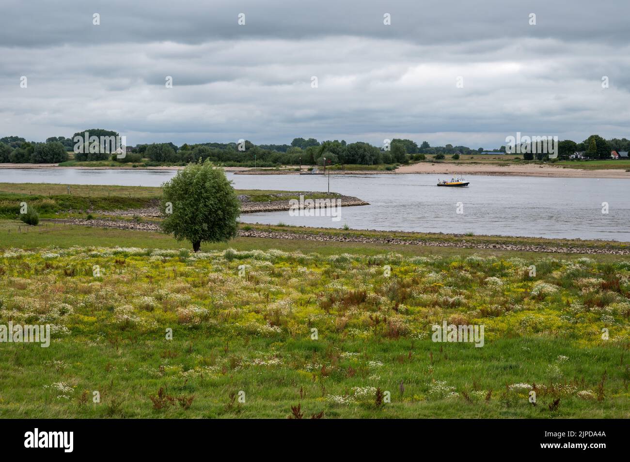 Landscape view over the natural floodplain of the River Waal, Dodewaard ...