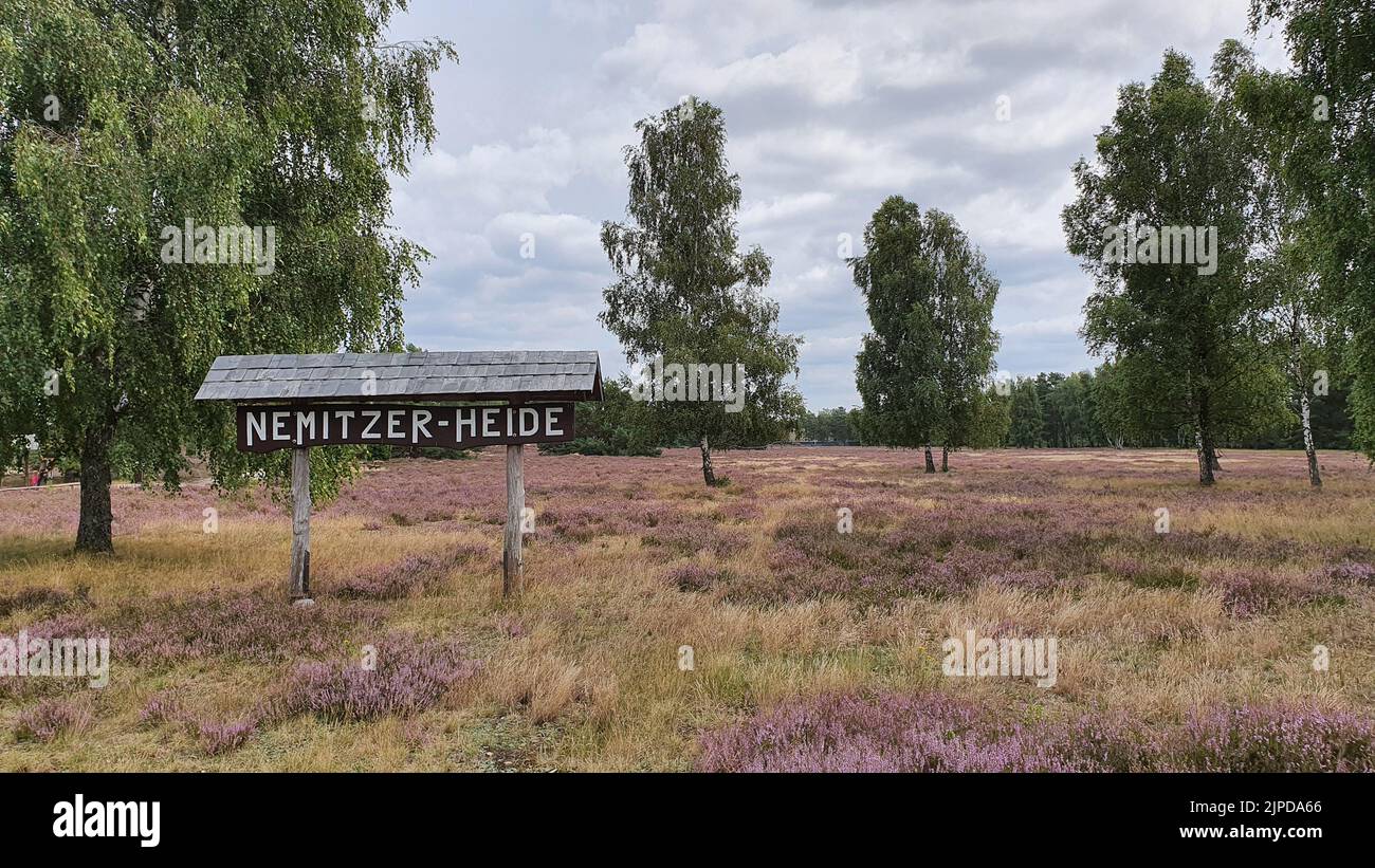 Nemitzer heide hi-res stock photography and images - Alamy
