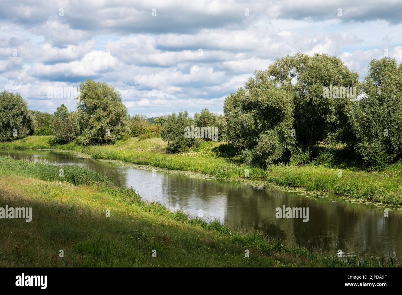 Wetland nature reserve in the flood zone of the River Waal, Tiel, The ...