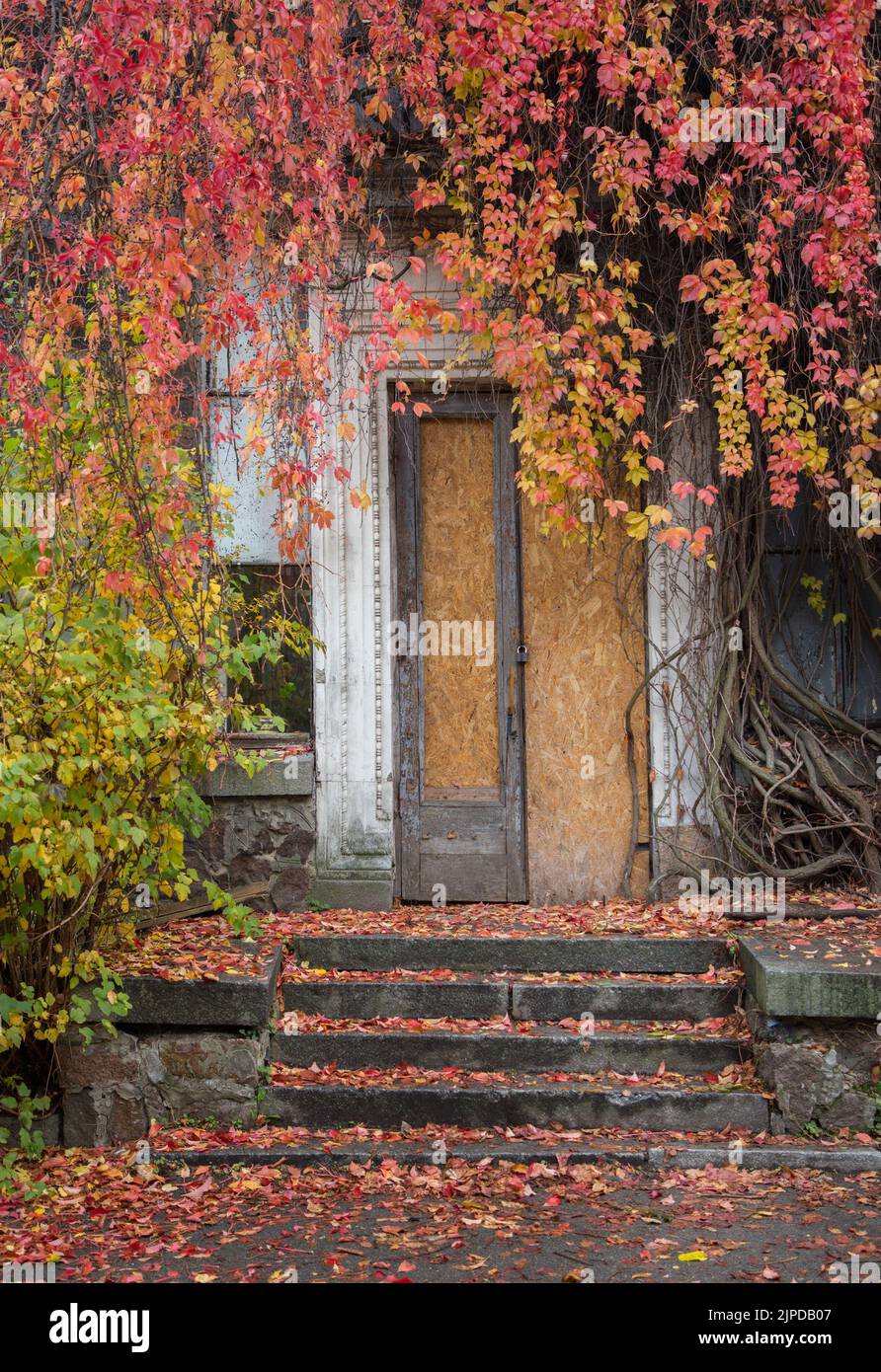 old abandoned door, concrete steps and a wall of a house wrapped in ...