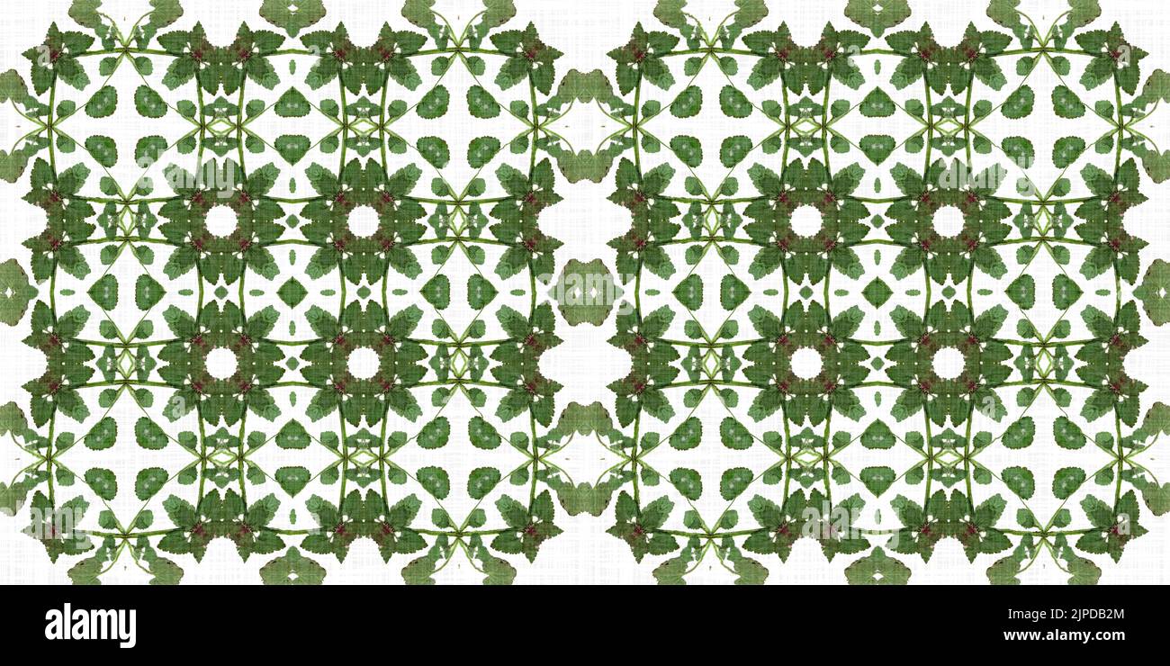 Foliage kaleidoscope seamless border pattern. Trendy optic fresh design ...