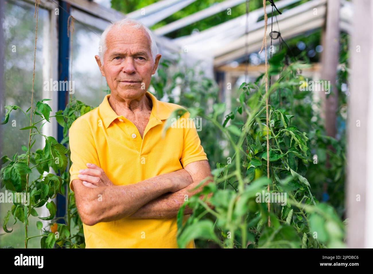 Caucasian man working in greenhouse Stock Photo - Alamy