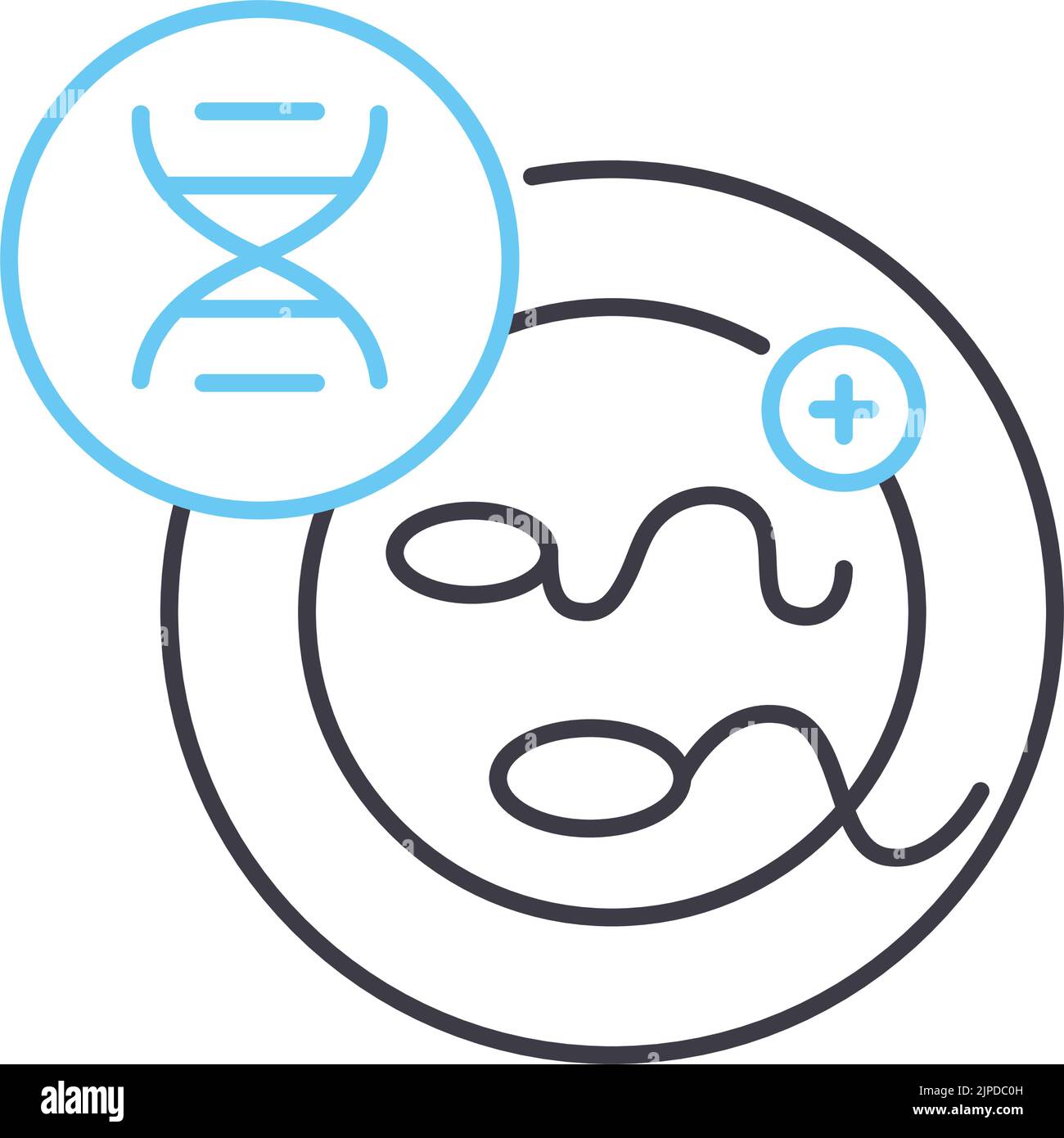 reproduction process line icon, outline symbol, vector illustration ...