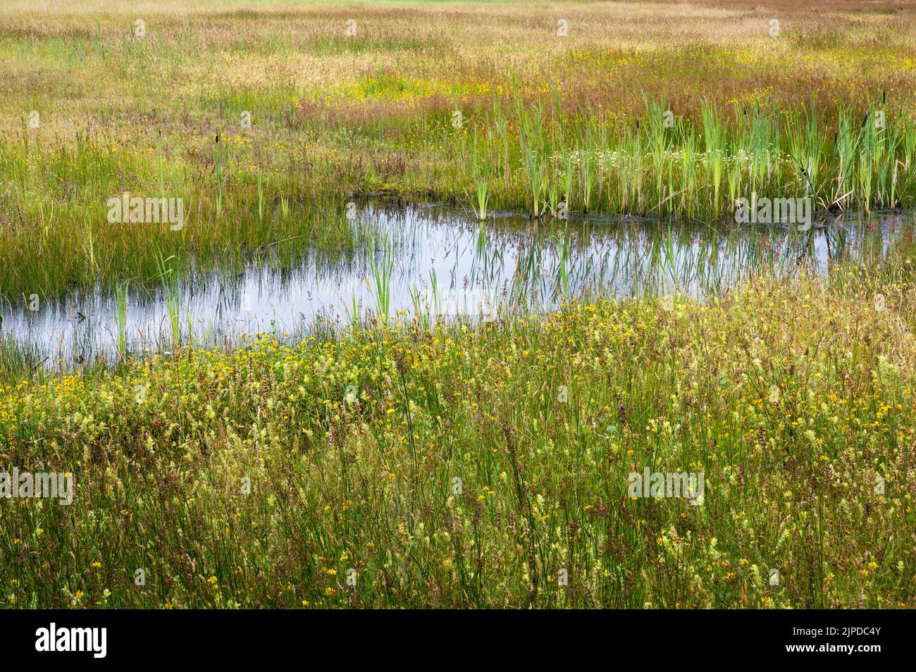 Landgoed tongeren hi-res stock photography and images - Alamy