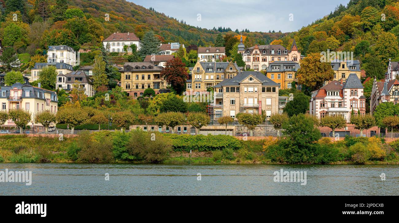 residences, heidelberg, neckar, residence, heidelbergs, neckars Stock ...