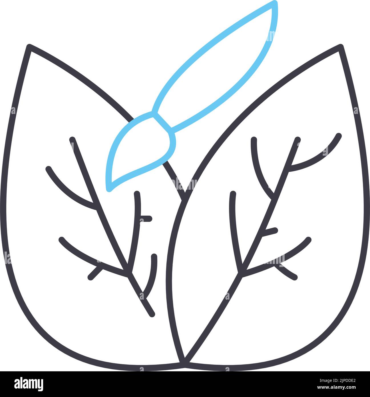 Dyed animal Stock Vector Images - Alamy