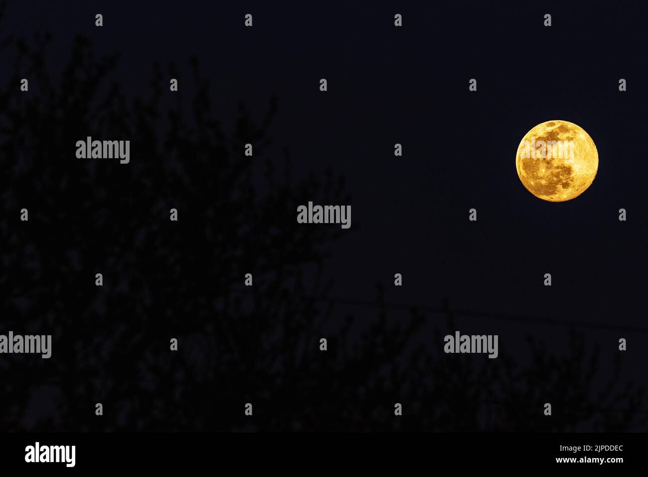 A breathtaking view of the bright yellow full moon in the black sky ...