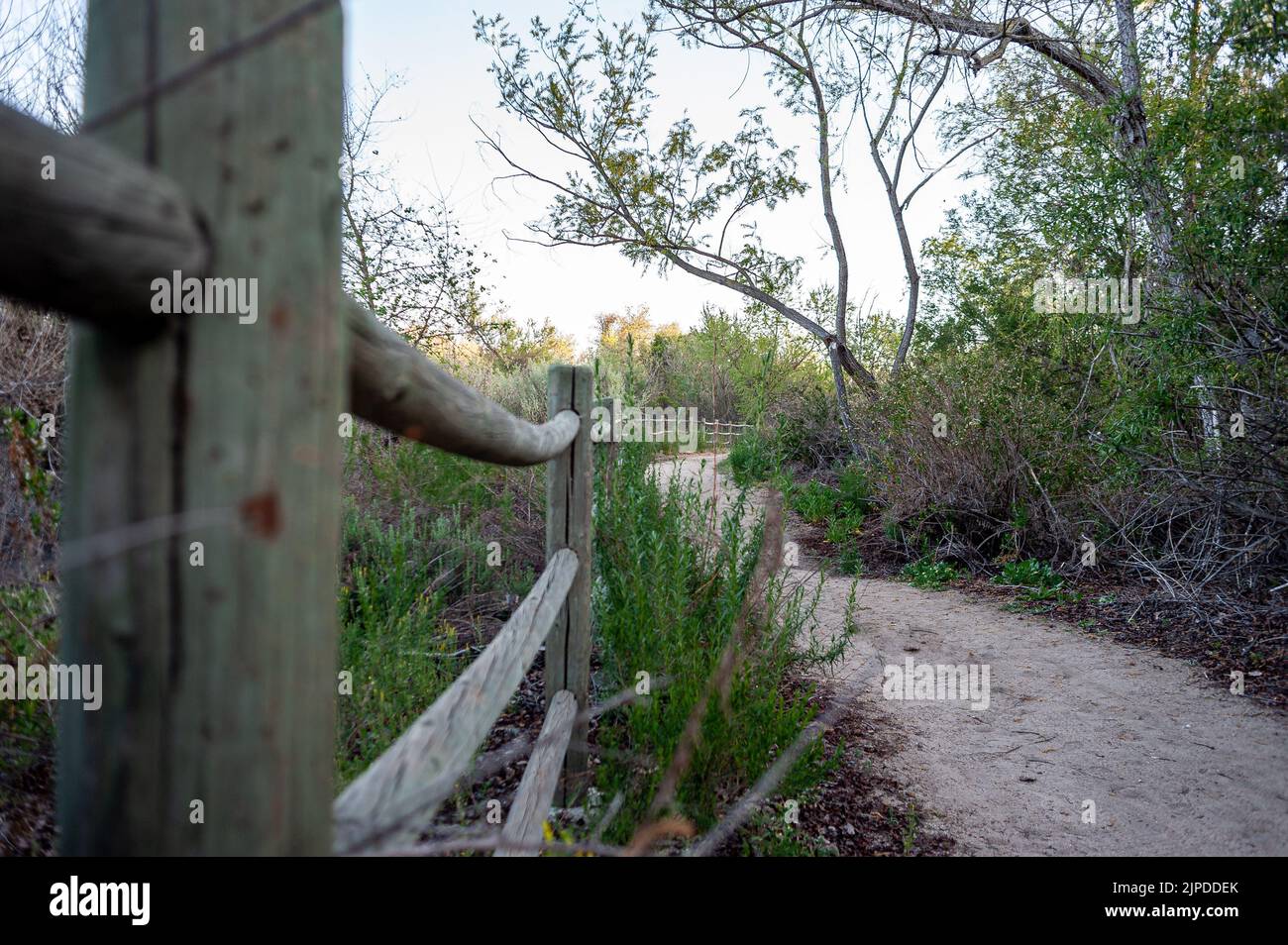 A sandy path through fields with wooden fences Stock Photo - Alamy