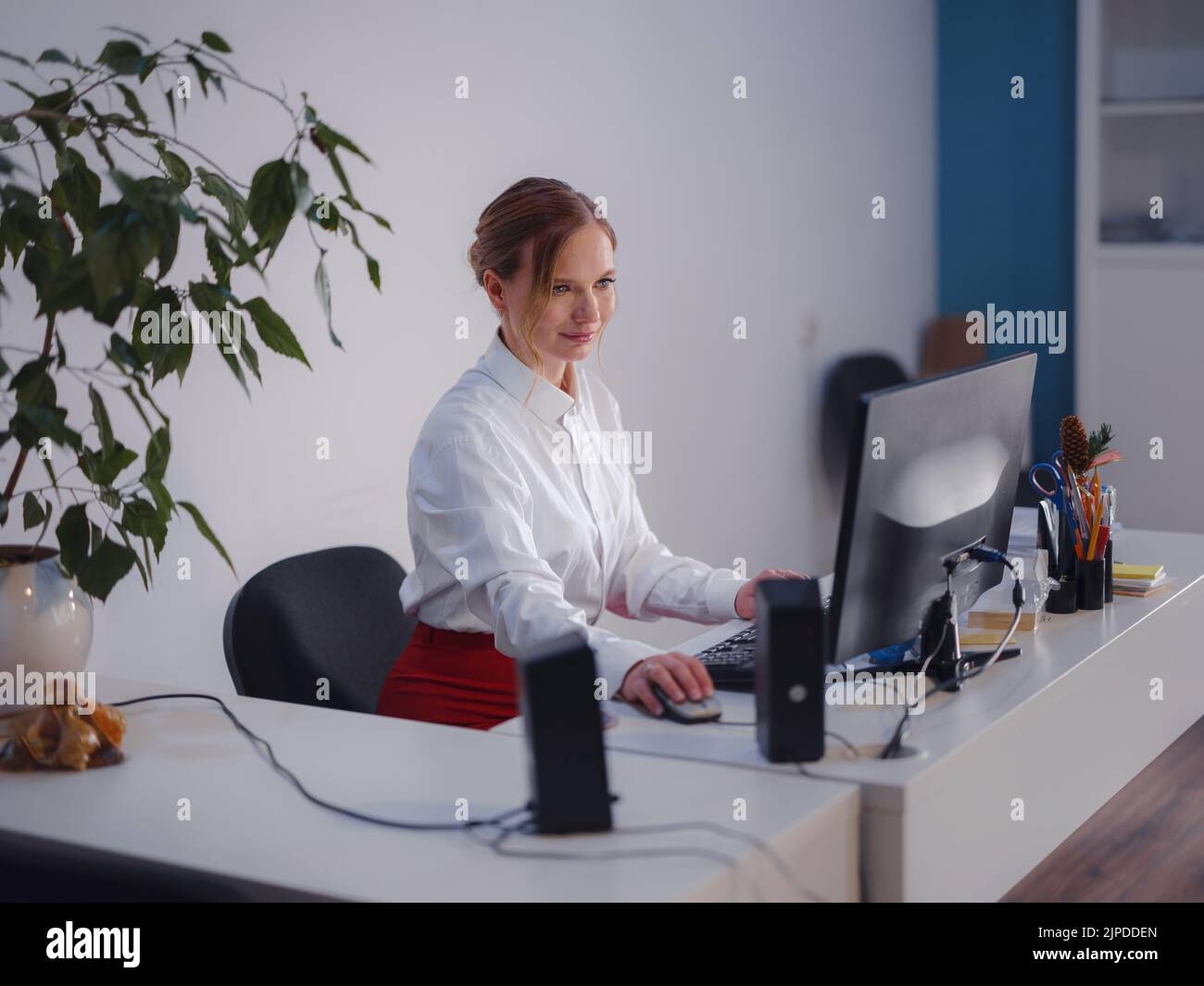 Portrait of independent start up development trainer , female coach sit ...