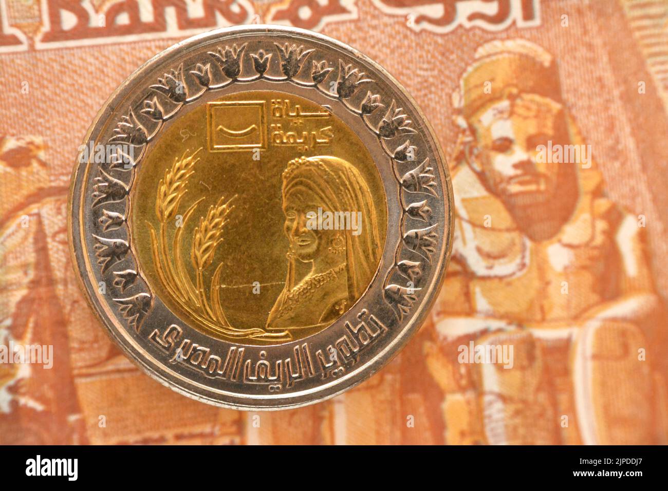 1 pound coin from egypt hi-res stock photography and images - Alamy