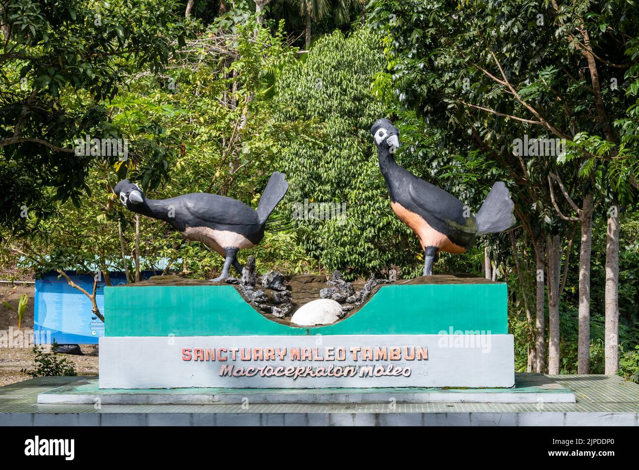 Tambun Maleo Sanctuary was established to protect critically endangered ...