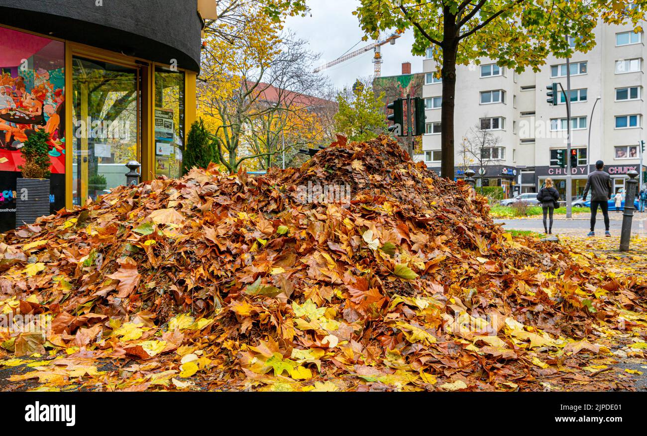 city cleaning, leaf pile, leaf piles Stock Photo - Alamy
