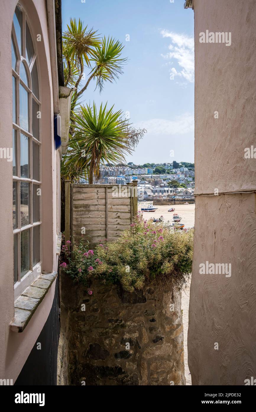 Hide view the window of St Ives Beach, Cornwall, UK Stock Photo - Alamy