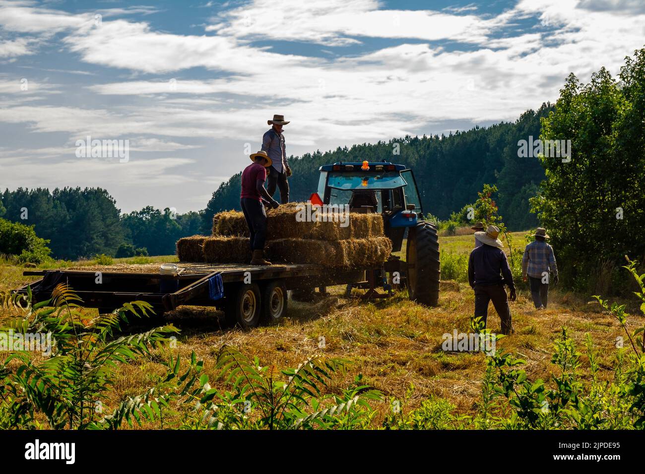 Behind a tractor hi-res stock photography and images - Alamy