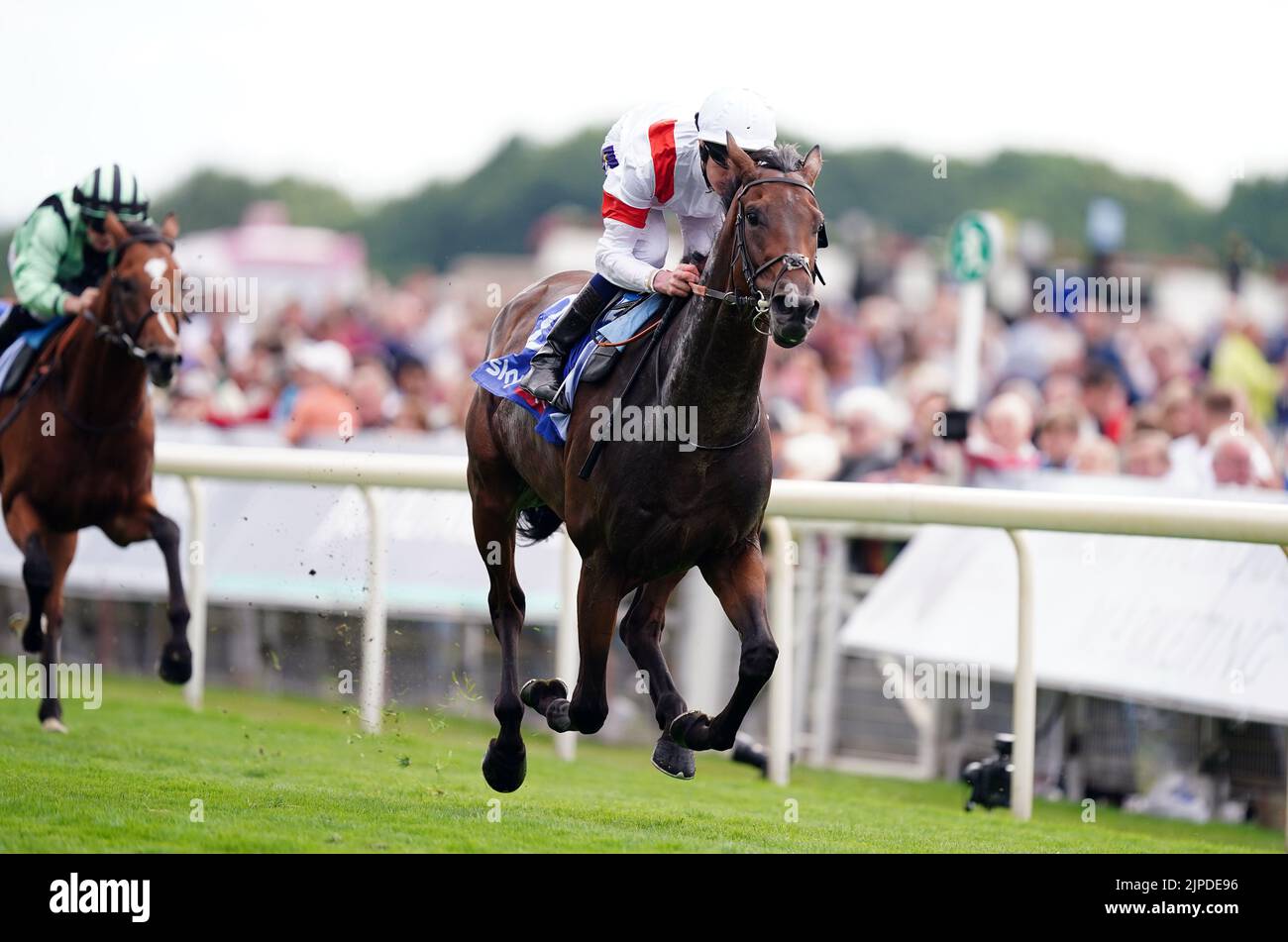 Deauville legend hi-res stock photography and images - Alamy