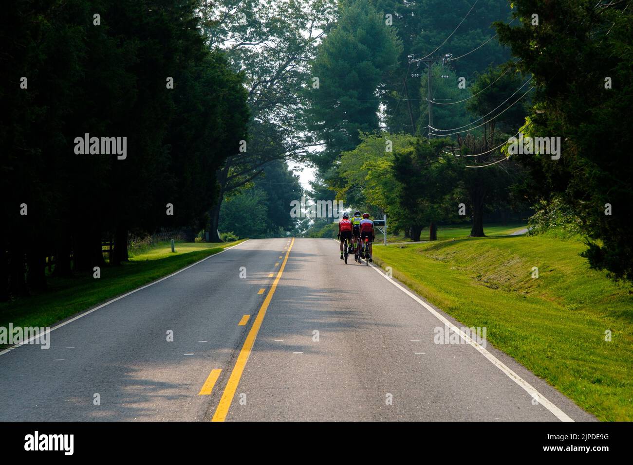 Road bikes on a country road Stock Photo - Alamy