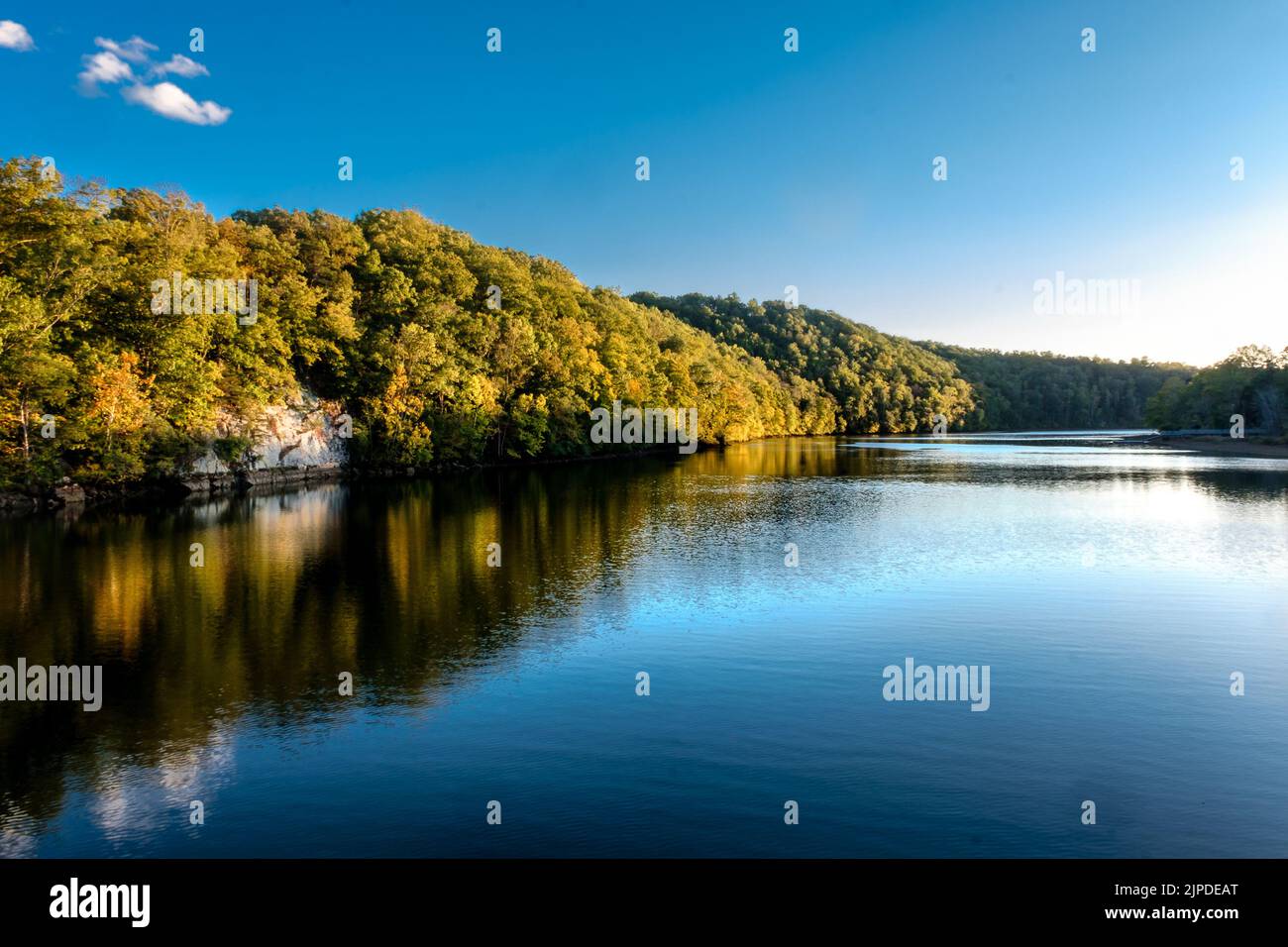 view of small lake and trees sloping to the shore beautiful daylight ...