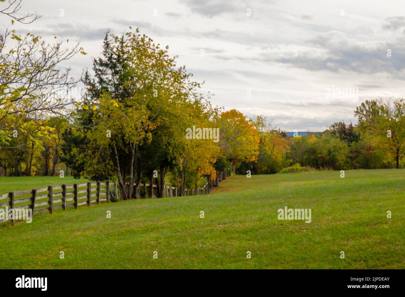 Rural scene, green pasture with fence line and trees Stock Photo - Alamy
