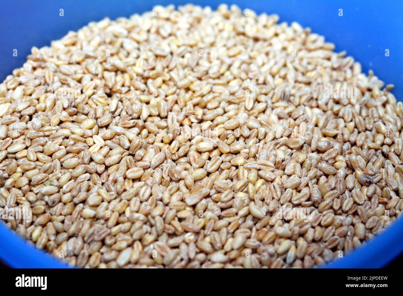 Raw grains of corn inside bowl hi-res stock photography and images - Alamy