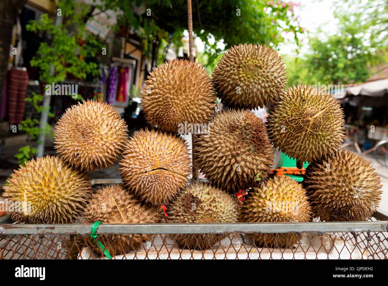Durian fruits in the street food market Stock Photo - Alamy
