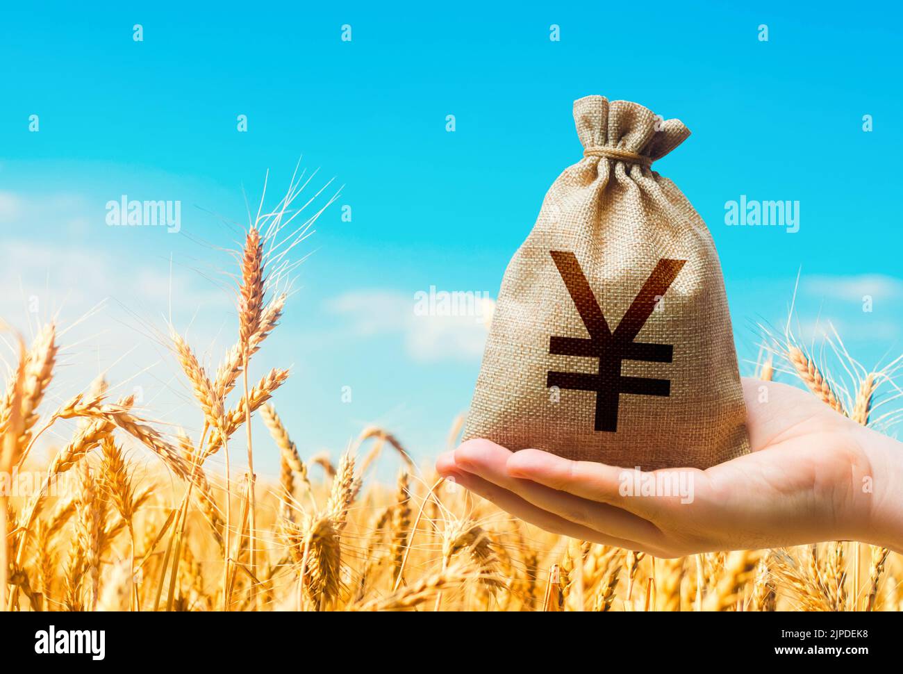 Wheat field and chinese yuan or japanese yen money bag. Grains and ...