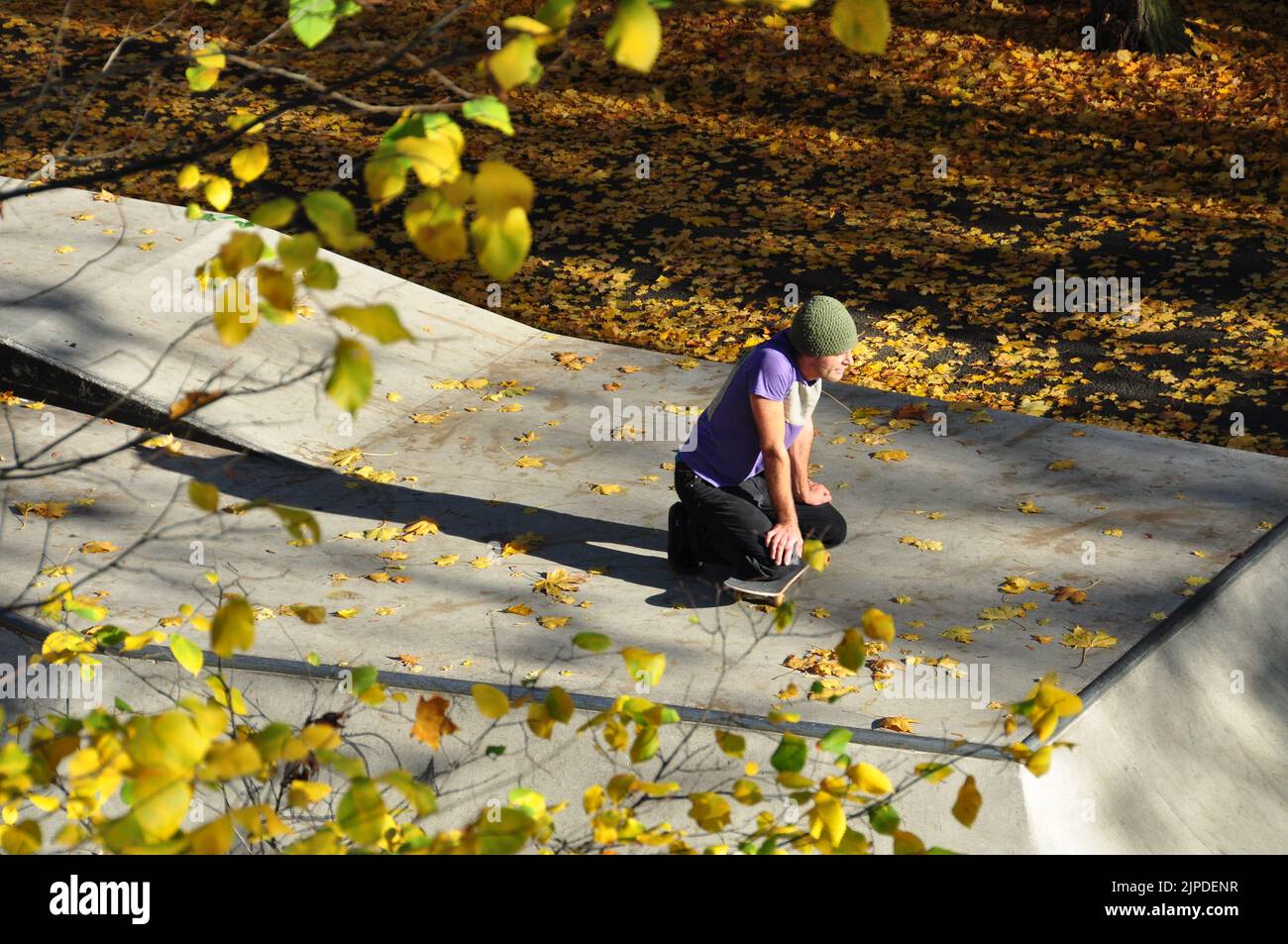Fall in a park hi-res stock photography and images - Alamy