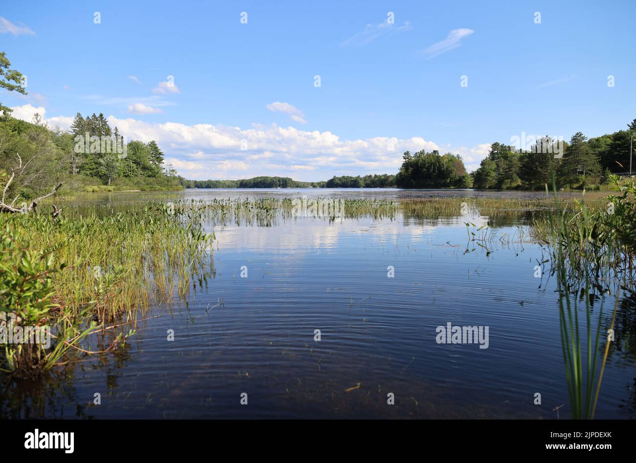 Muskoka lakes georgian bay hi-res stock photography and images - Alamy