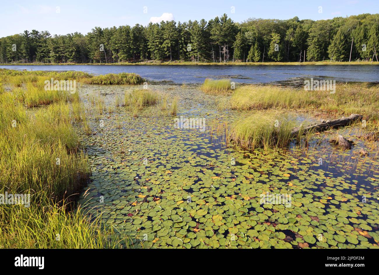Muskoka area hi-res stock photography and images - Alamy