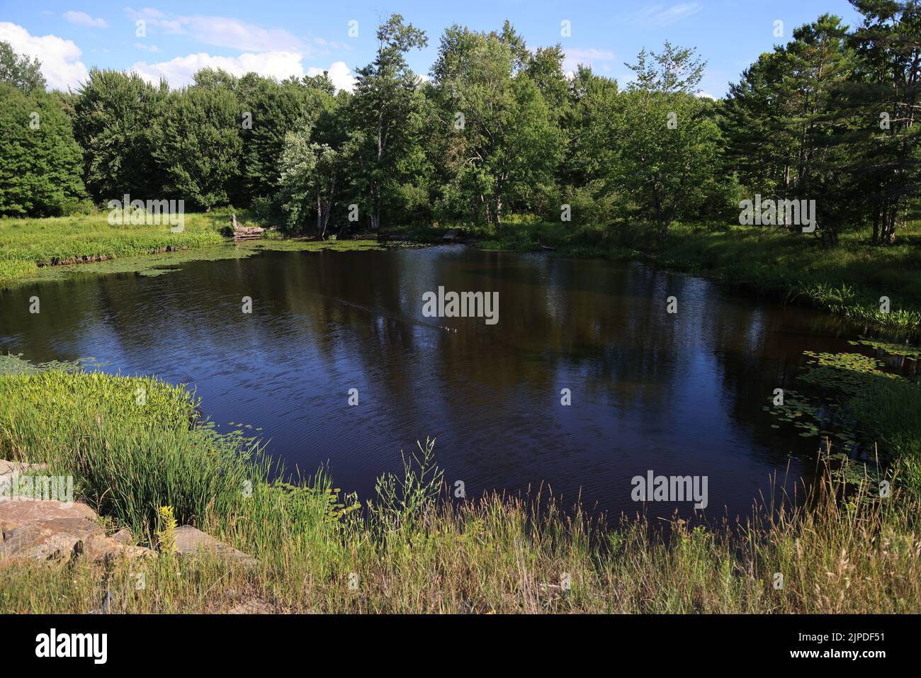 Muskoka dock view hi-res stock photography and images - Alamy