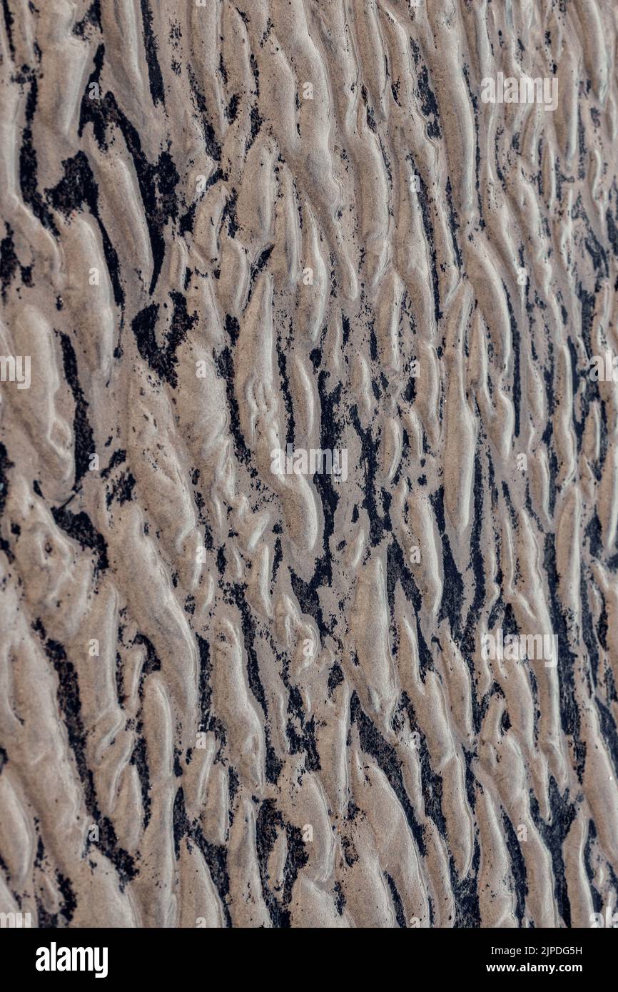 natural sand pattern on the beach. Sand surface with pattern, sand ...