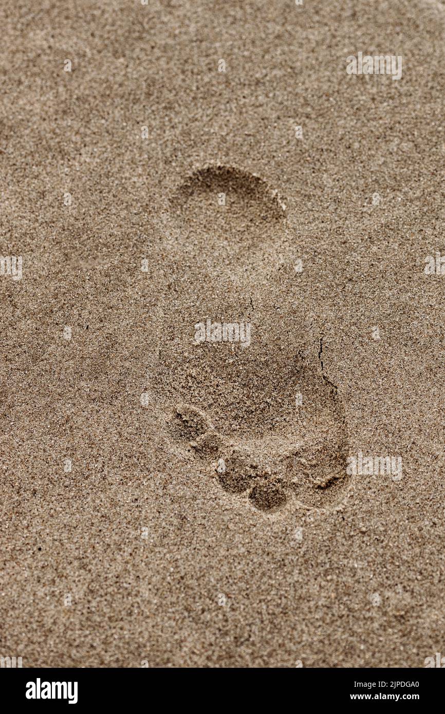 A footprint of human feet on the sand on the beach, structure abstract ...