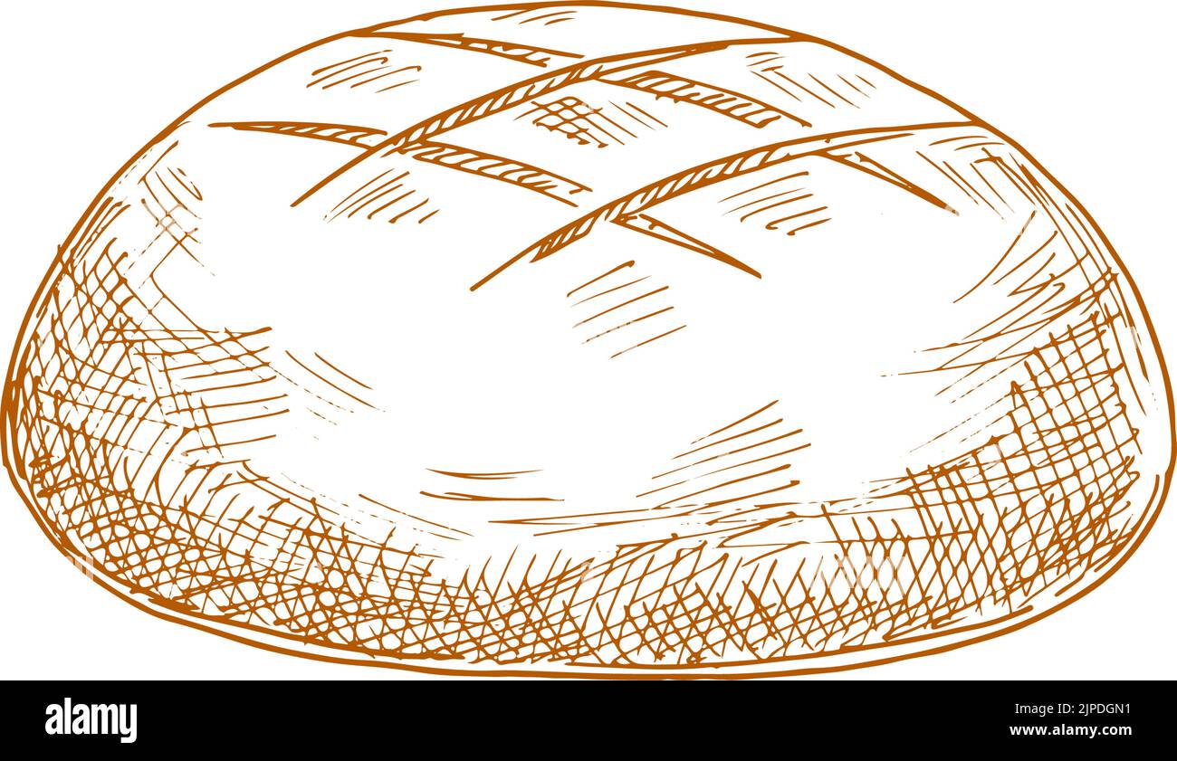 Round brown bread bun isolated hand drawn sketch. Vector rye loaf ...