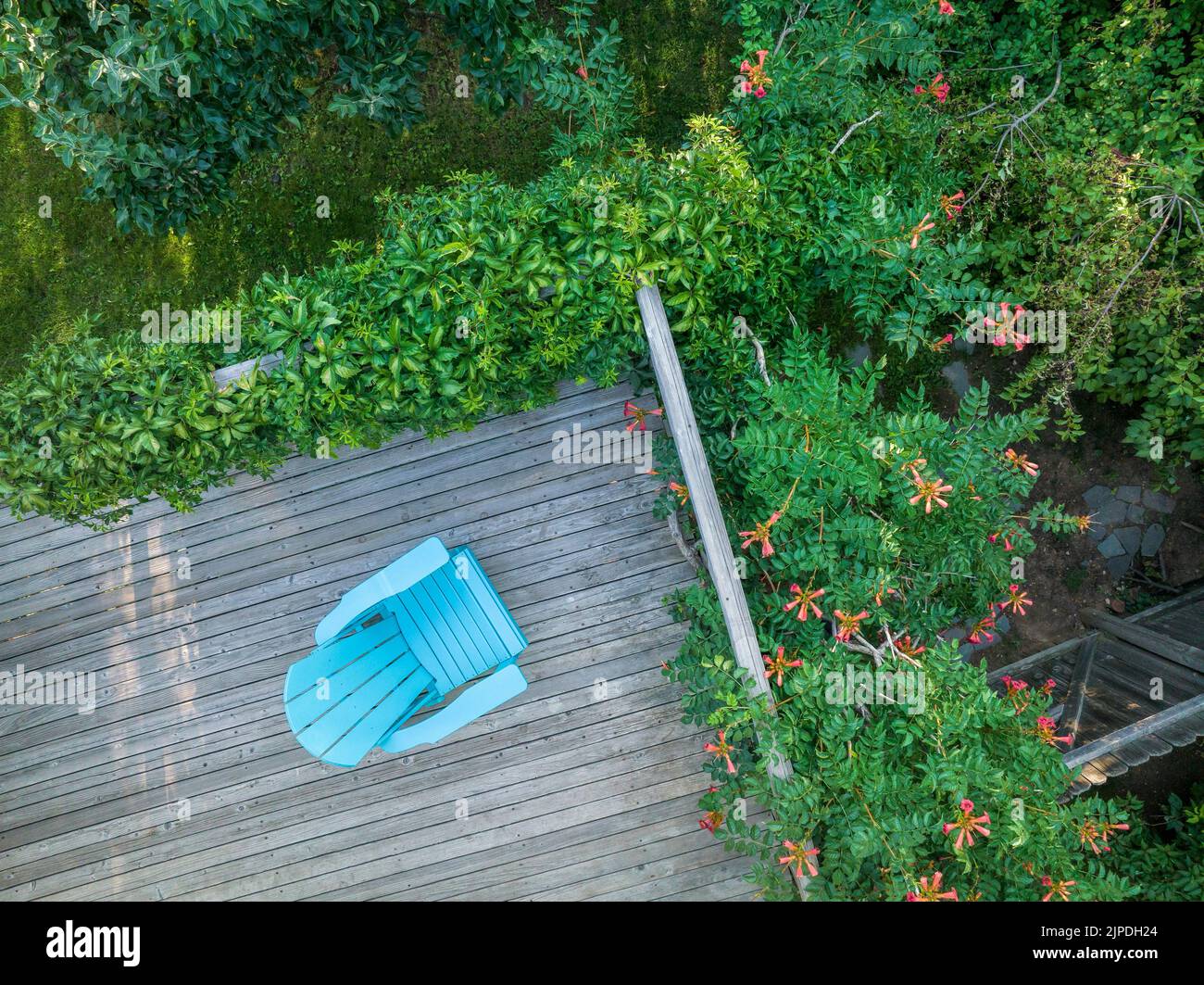 Vine in bloom hi-res stock photography and images - Alamy