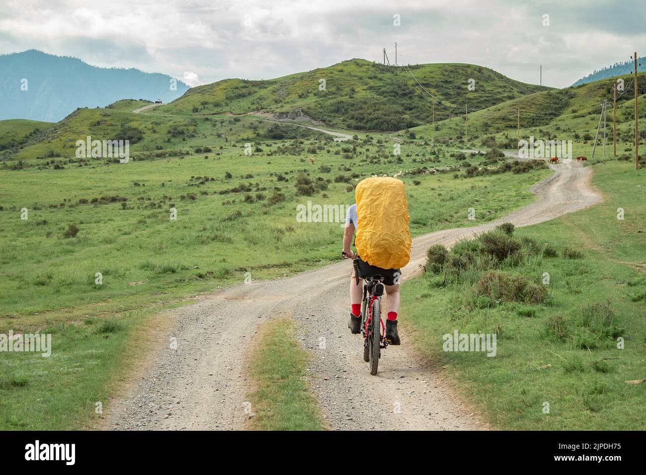 rear view of a hiker cyclist who rides along a dirt rocky road to the ...