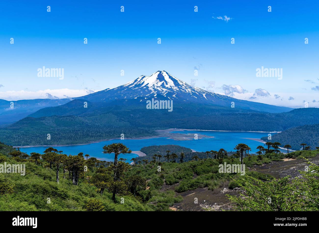 A beautiful shot of the snowy Llaima Volcano from Conguillio National ...