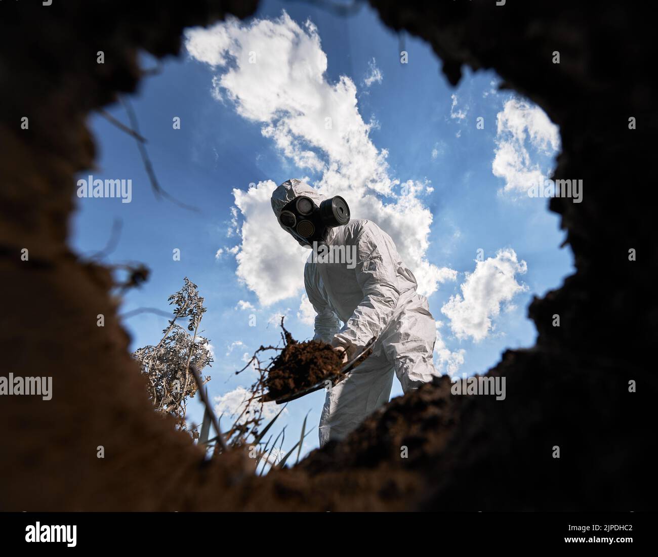 View from inside pit of ecologist digging pit by shovel and planting ...