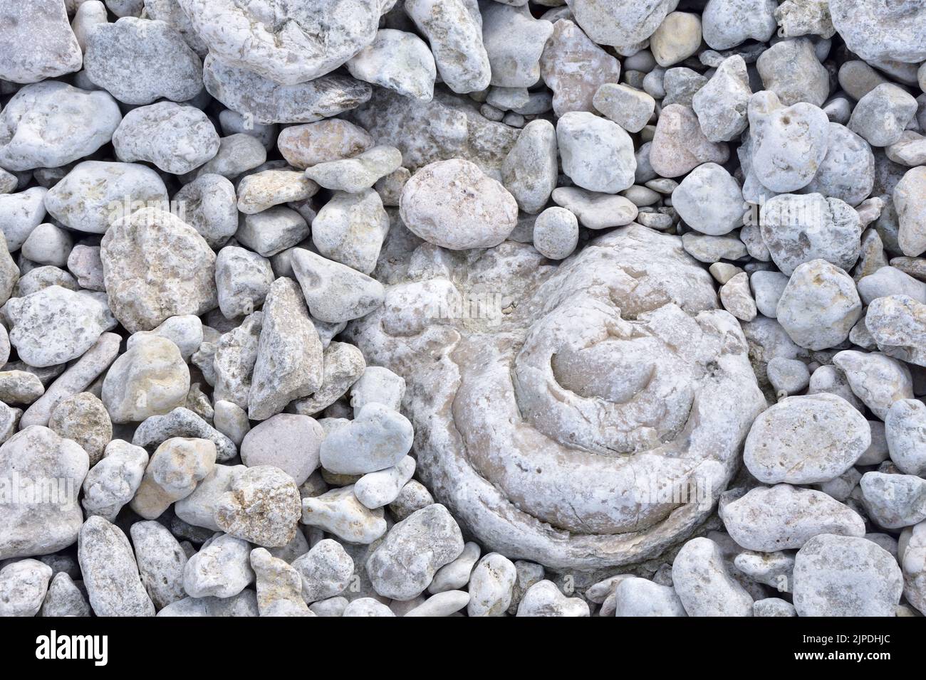 stones, limestone, germanische trias, stone, limestones Stock Photo - Alamy