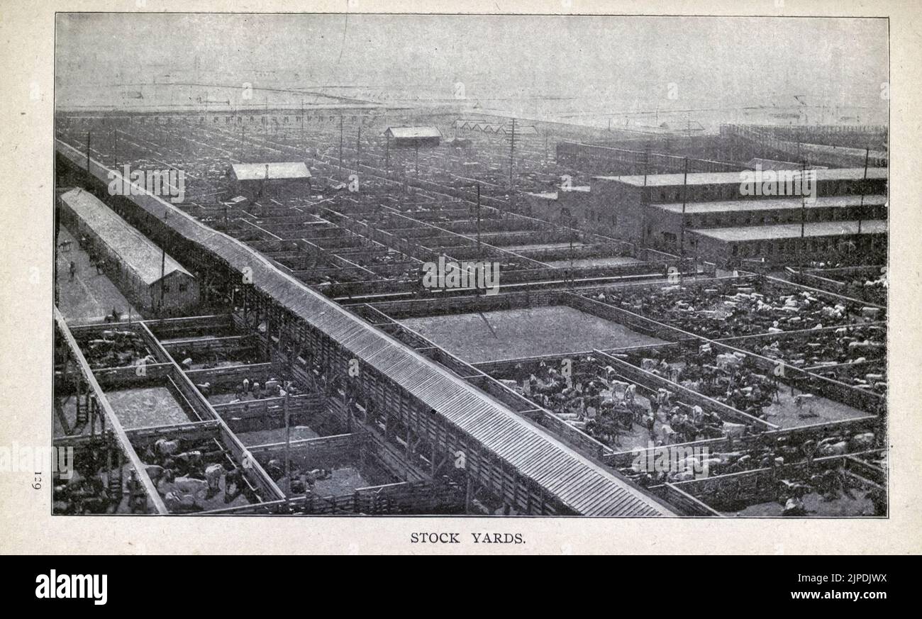 STOCK YARDS from the guide book ' Picturesque Chicago and guide to the ...