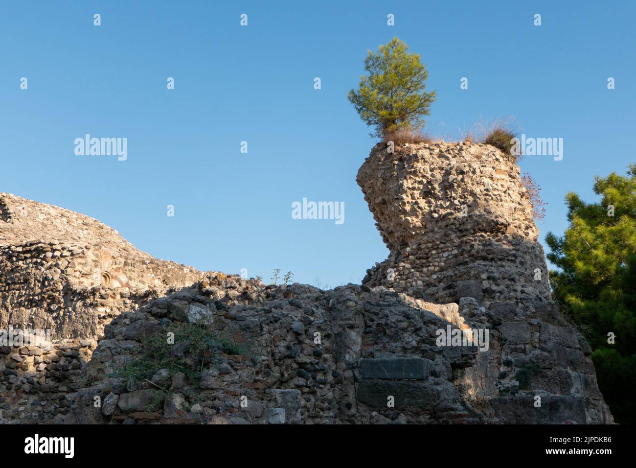 A beautiful shot of a huge stone with a tree growing on top of it Stock ...