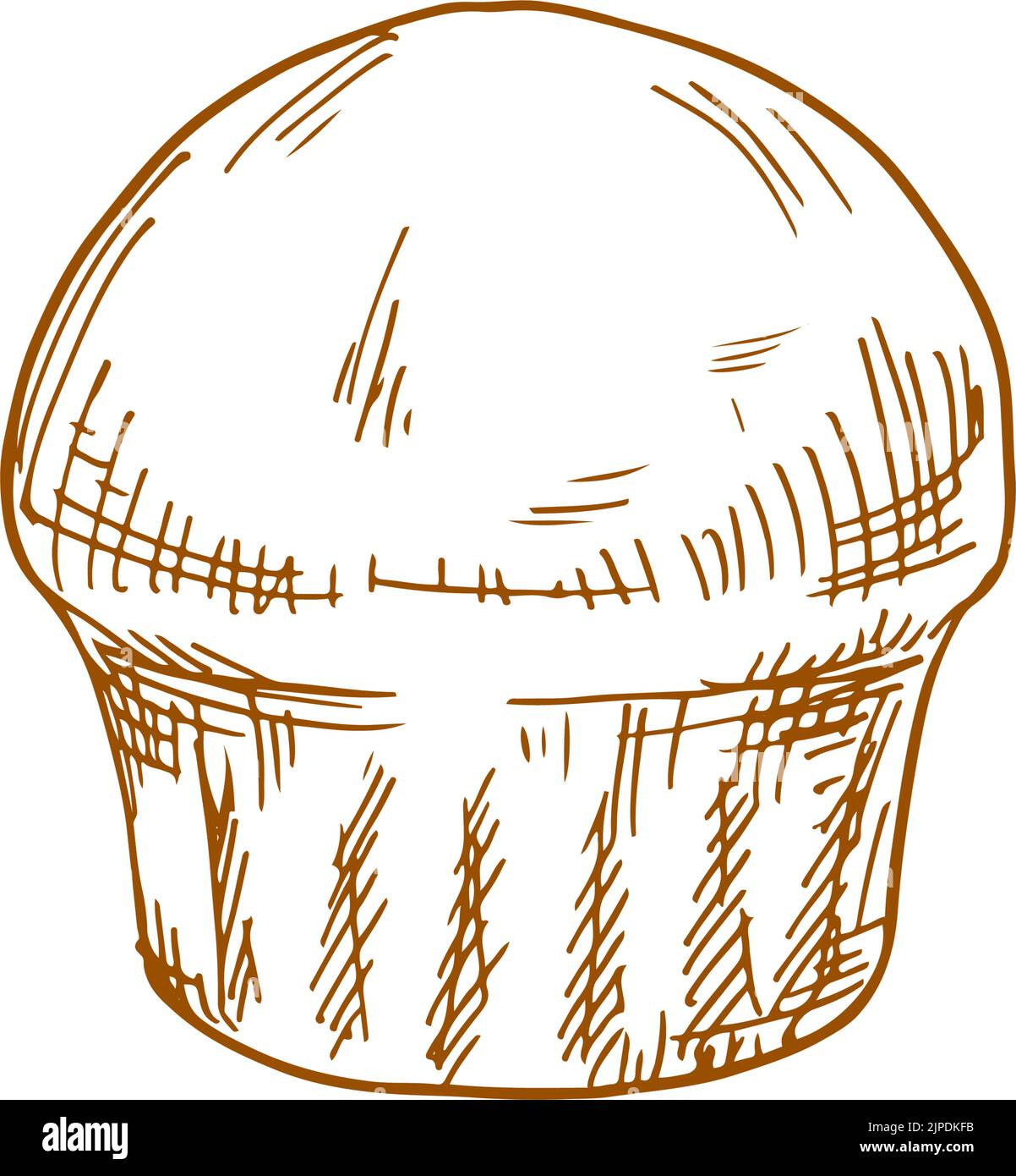 Muffin or cupcake, isolated pastry food sketch. Vector baked cake bun ...