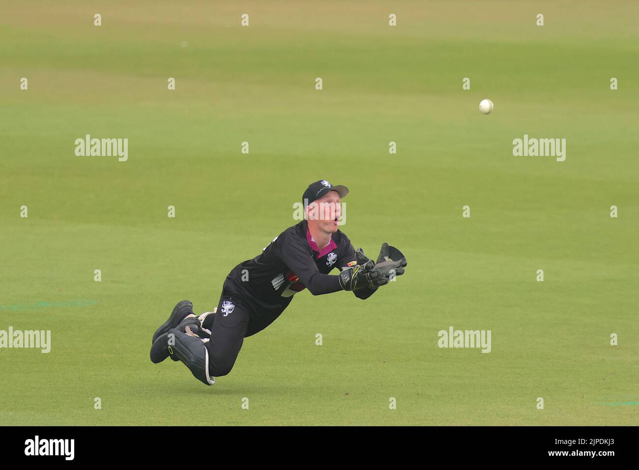 17 August, 2022. London, UK. Somerset’s James Rew takes the catch to ...