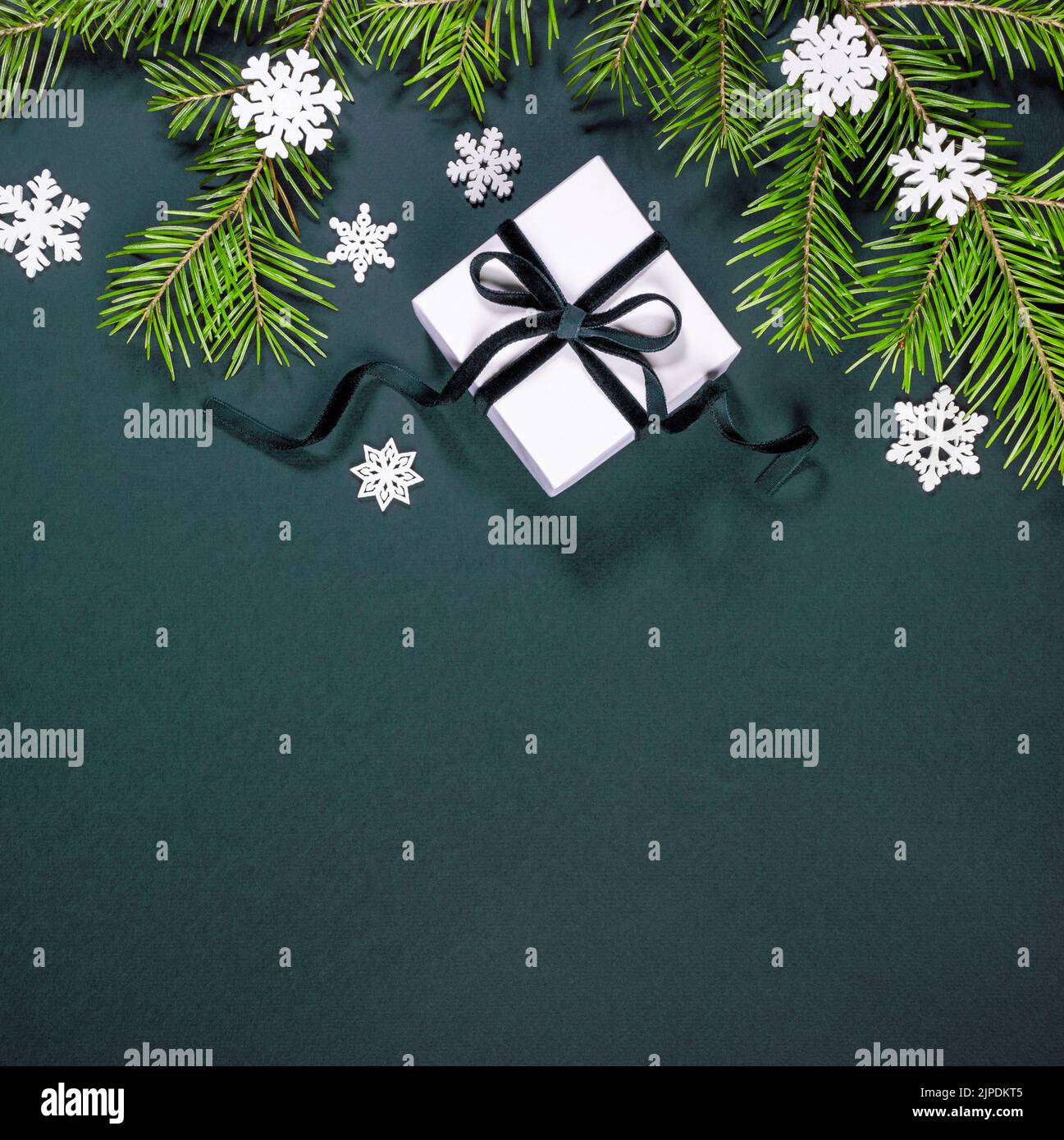 Christmas greeting card with Xmas tree branches, white gift box, white ...