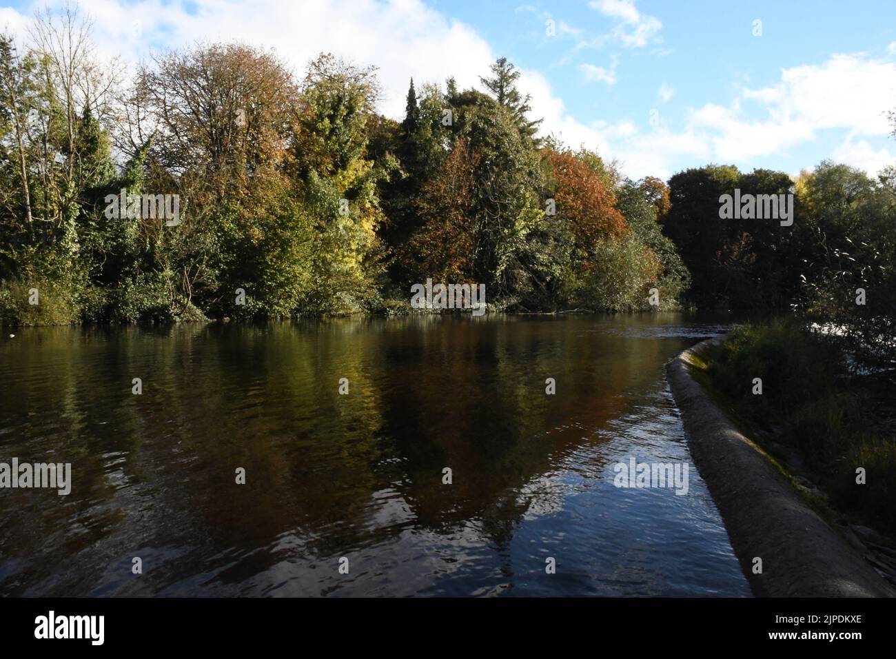 Autumn colours on weir, River Nore, River Nore Linear Park, Riverside ...
